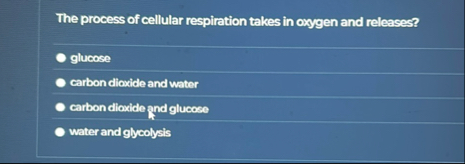 Solved The process of cellular respiration takes in oxygen | Chegg.com