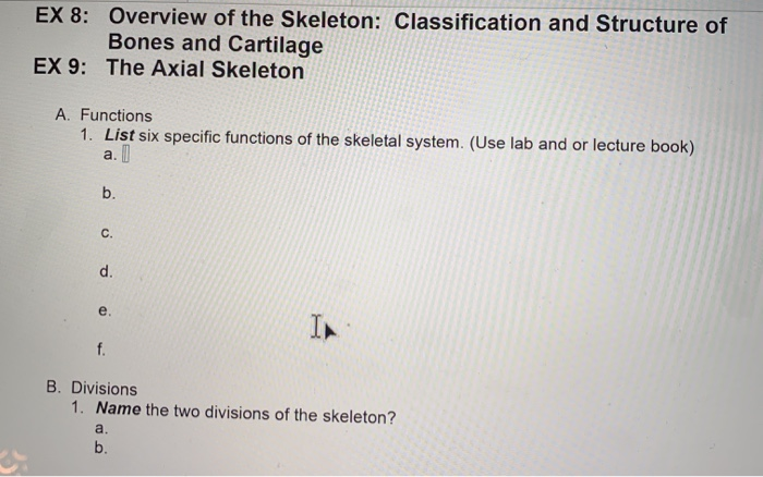 Solved EX 8: Overview of the Skeleton: Classification and | Chegg.com