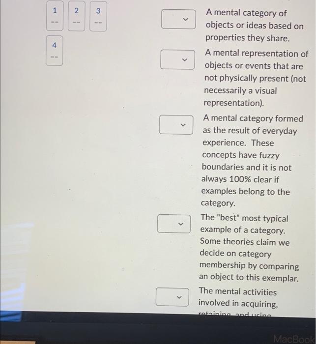 Solved 1. Cognition 2. Thinking 3. Mental Image 4. Concept | Chegg.com