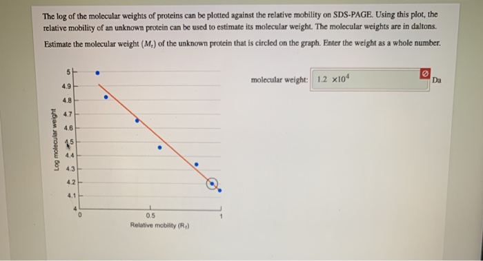 Solved The log of the molecular weights of proteins can be | Chegg.com