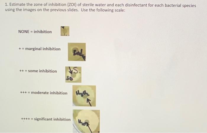 Solved Disinfectants: Staphylococcus simulans Sterile water | Chegg.com