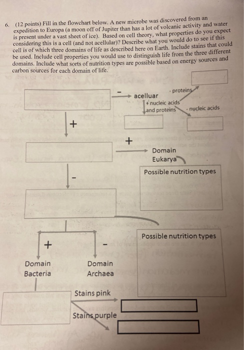 Solved 6. (12 points) Fill in the flowchart below. A new | Chegg.com