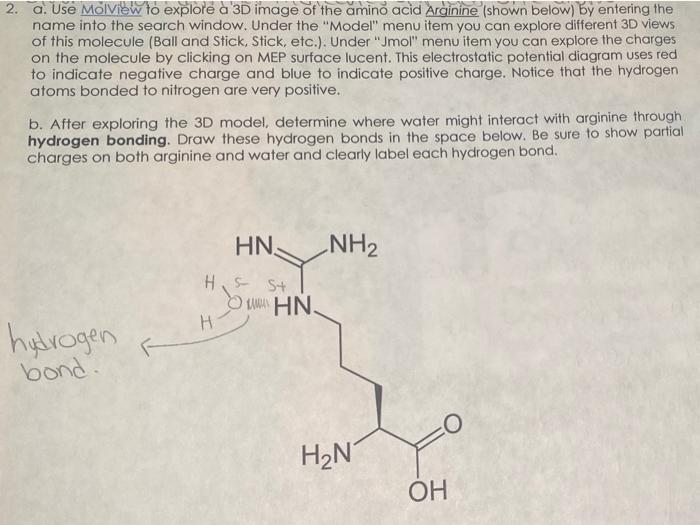 Solved 2. a. Use Molview to explore a 3D image of the amino | Chegg.com