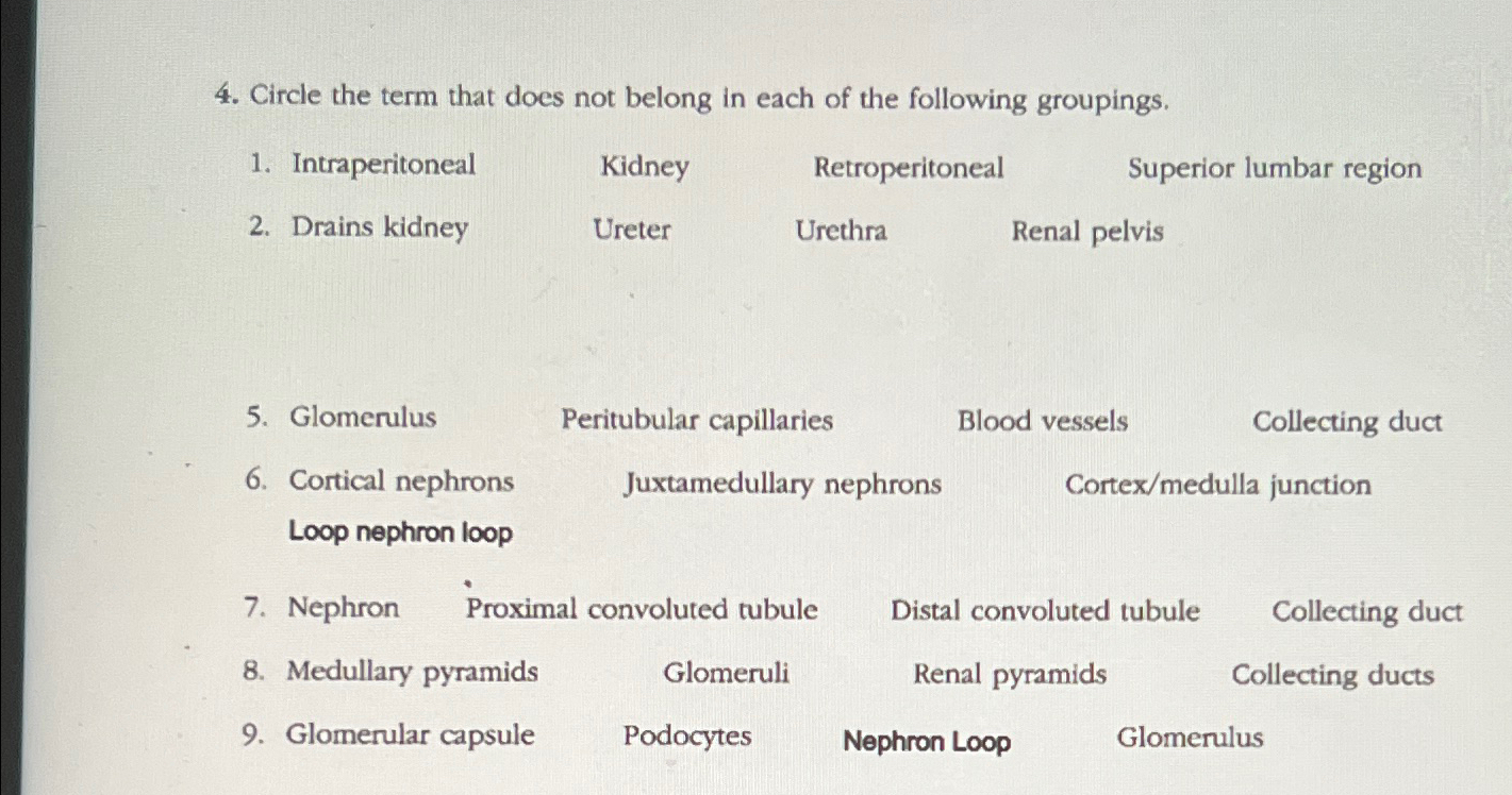 Solved Circle the term that does not belong in each of the | Chegg.com