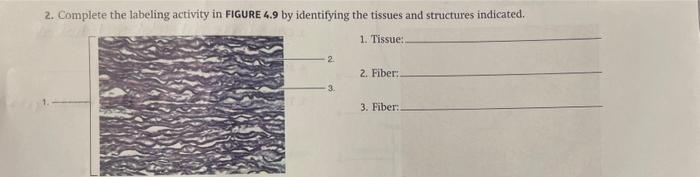 6. Structure: 7. Tissue:2. Complete the labeling | Chegg.com