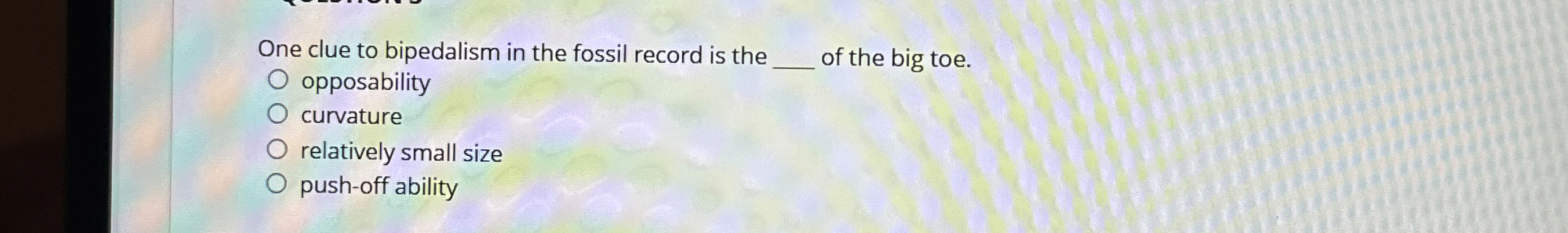 Solved One clue to bipedalism in the fossil record is the q, | Chegg.com