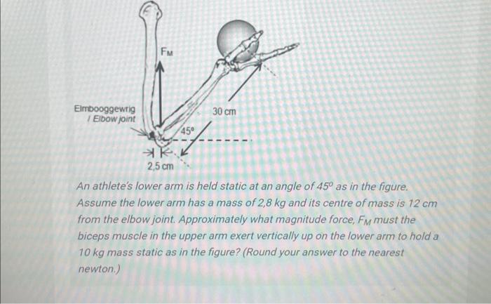 Solved An athlete's lower arm is held static at an angle of | Chegg.com