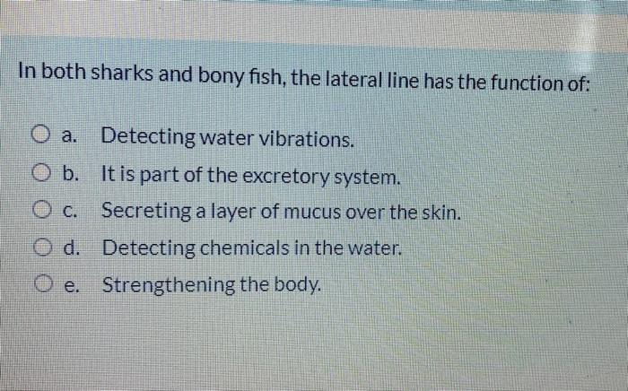 Solved In both sharks and bony fish, the lateral line has | Chegg.com