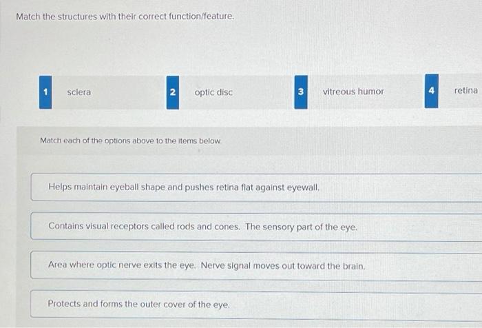 Solved Match the structures with their correct | Chegg.com