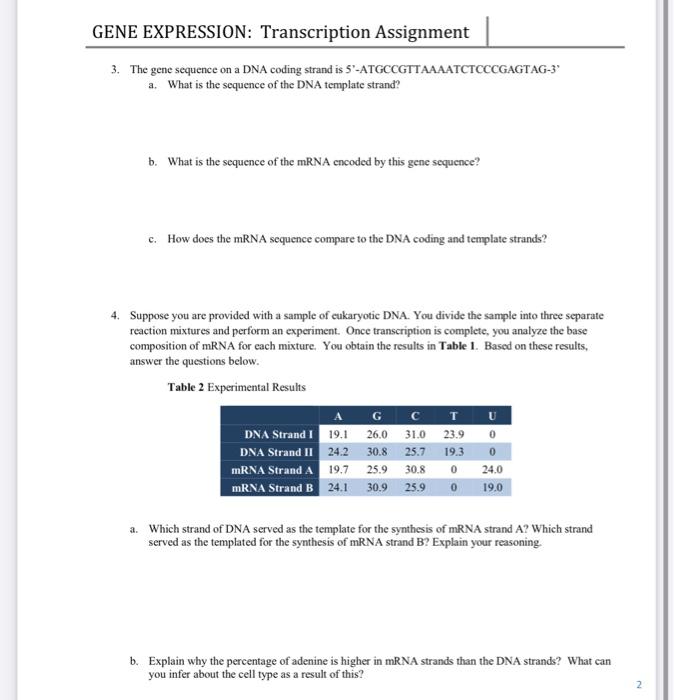 Solved GENE EXPRESSION - Transcription Assignment 1. Create | Chegg.com