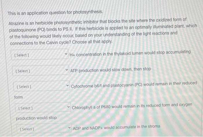 Solved This is an application question for photosynthesis. | Chegg.com