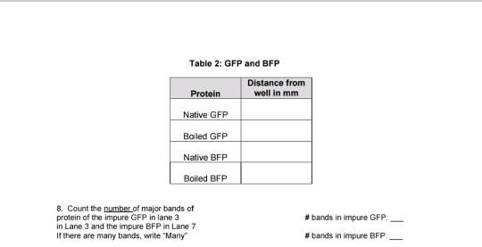 Solved Table 2: GFP and BFP Distance from Protein well in mm | Chegg.com