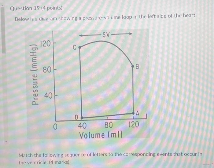 Solved Below is a diagram showing a pressure-volume loop in | Chegg.com