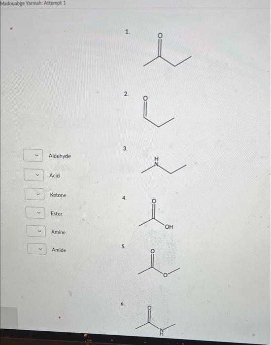 Solved Aldehyde Acid Ketone Ester Amine Amide | Chegg.com
