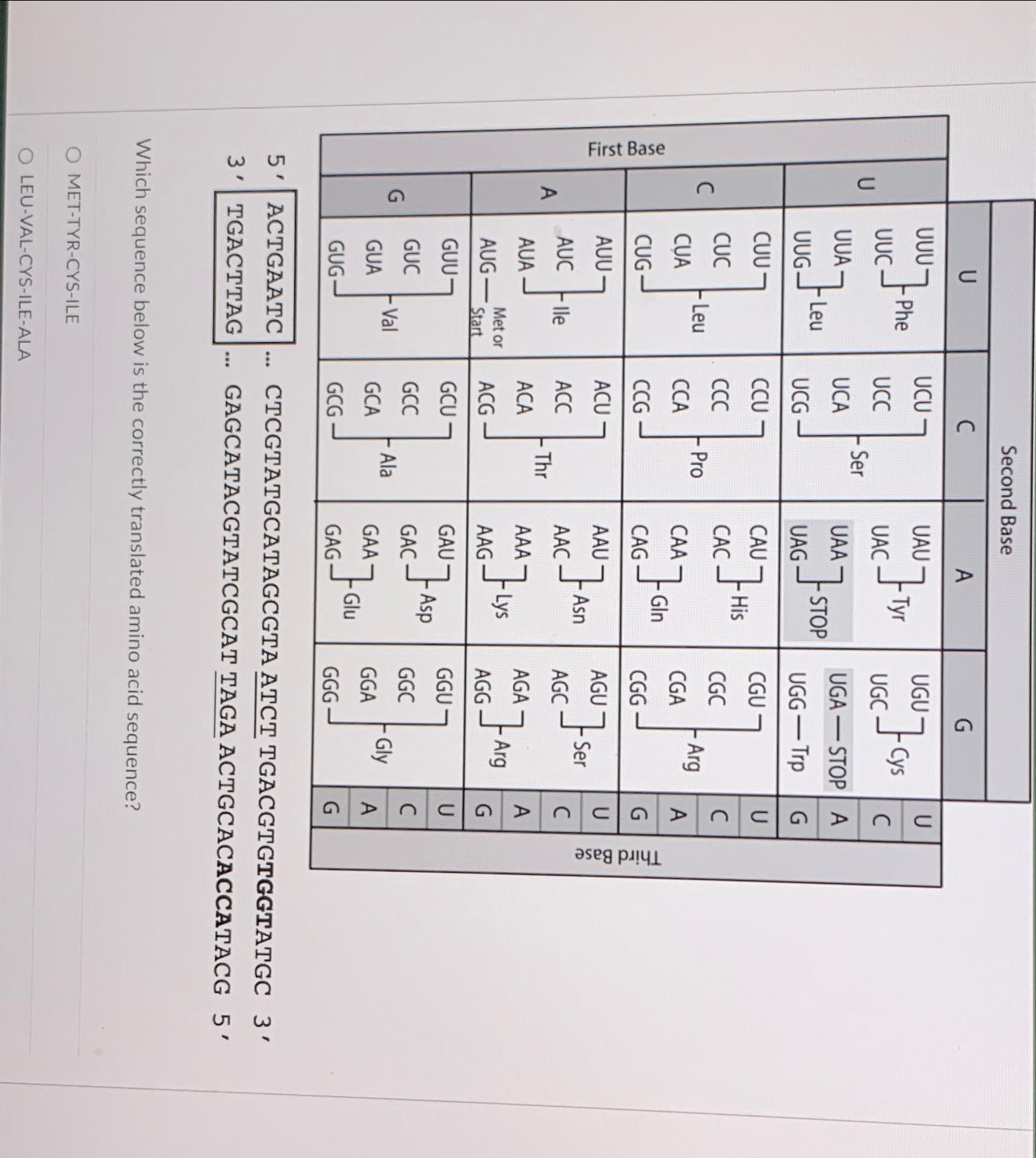 Solved Which sequence below is the correctly translated | Chegg.com