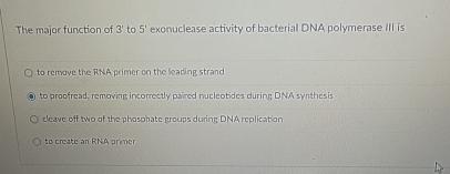 Solved The major function of 3' ﻿to 5' ﻿exonuclease activity | Chegg.com