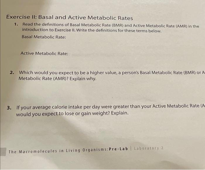 Exercise II: Basal and Active Metabolic Rates 1. Read | Chegg.com