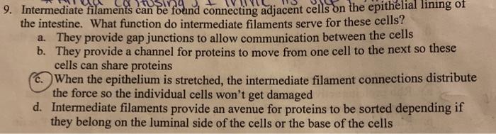 Solved 12. How do microtubules grow? Tubulin monomers bound | Chegg.com