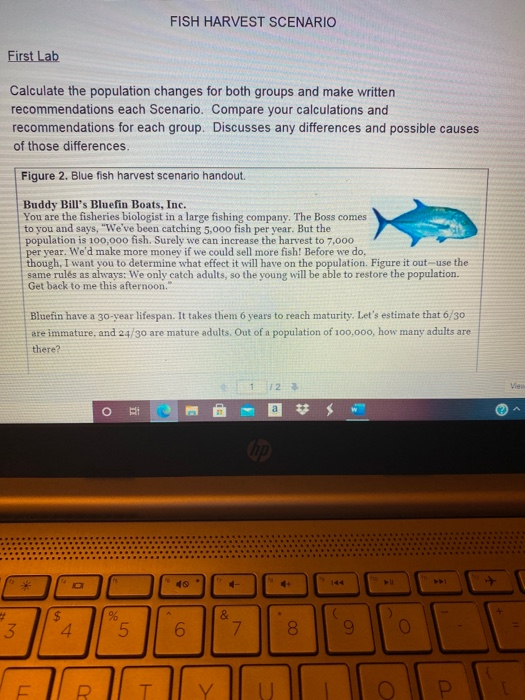 Solved FISH HARVEST SCENARIO First Lab Calculate the | Chegg.com