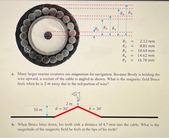 2. In the 1978 film Jaws 2, which is every bit as | Chegg.com