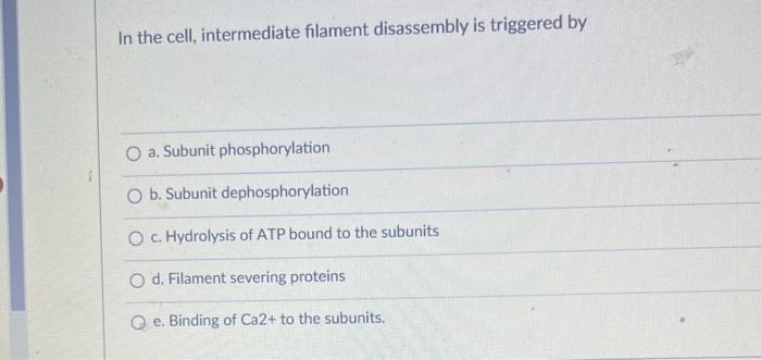 Solved The contractile ring a. Is important for cell | Chegg.com