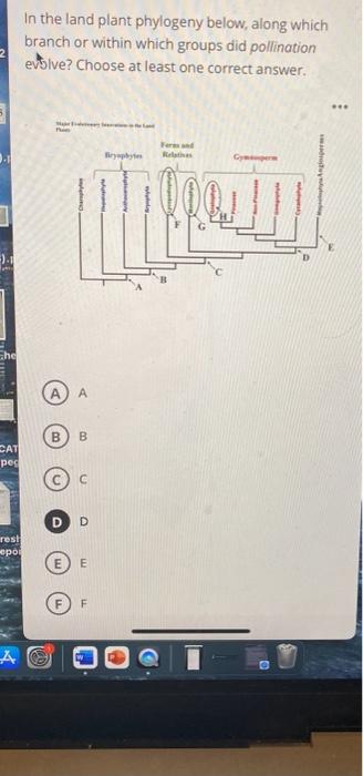 In the land plant phylogeny below, along which branch | Chegg.com