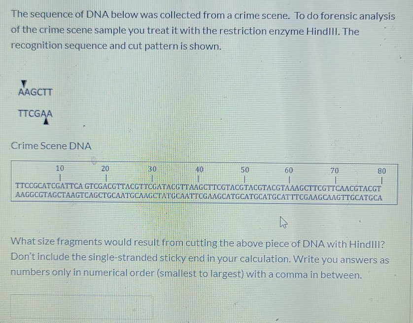 Solved The sequence of DNA below was collected from a crime | Chegg.com