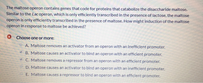 Solved the hint given is: what can limit operon | Chegg.com