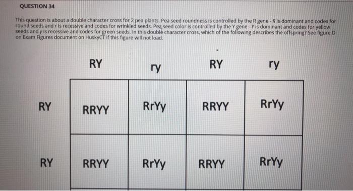 Solved QUESTION 34 This question is about a double character | Chegg.com
