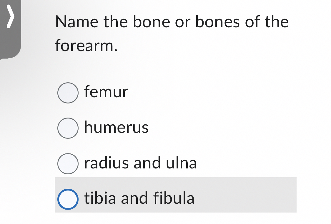 Solved Name the bone or bones of the | Chegg.com