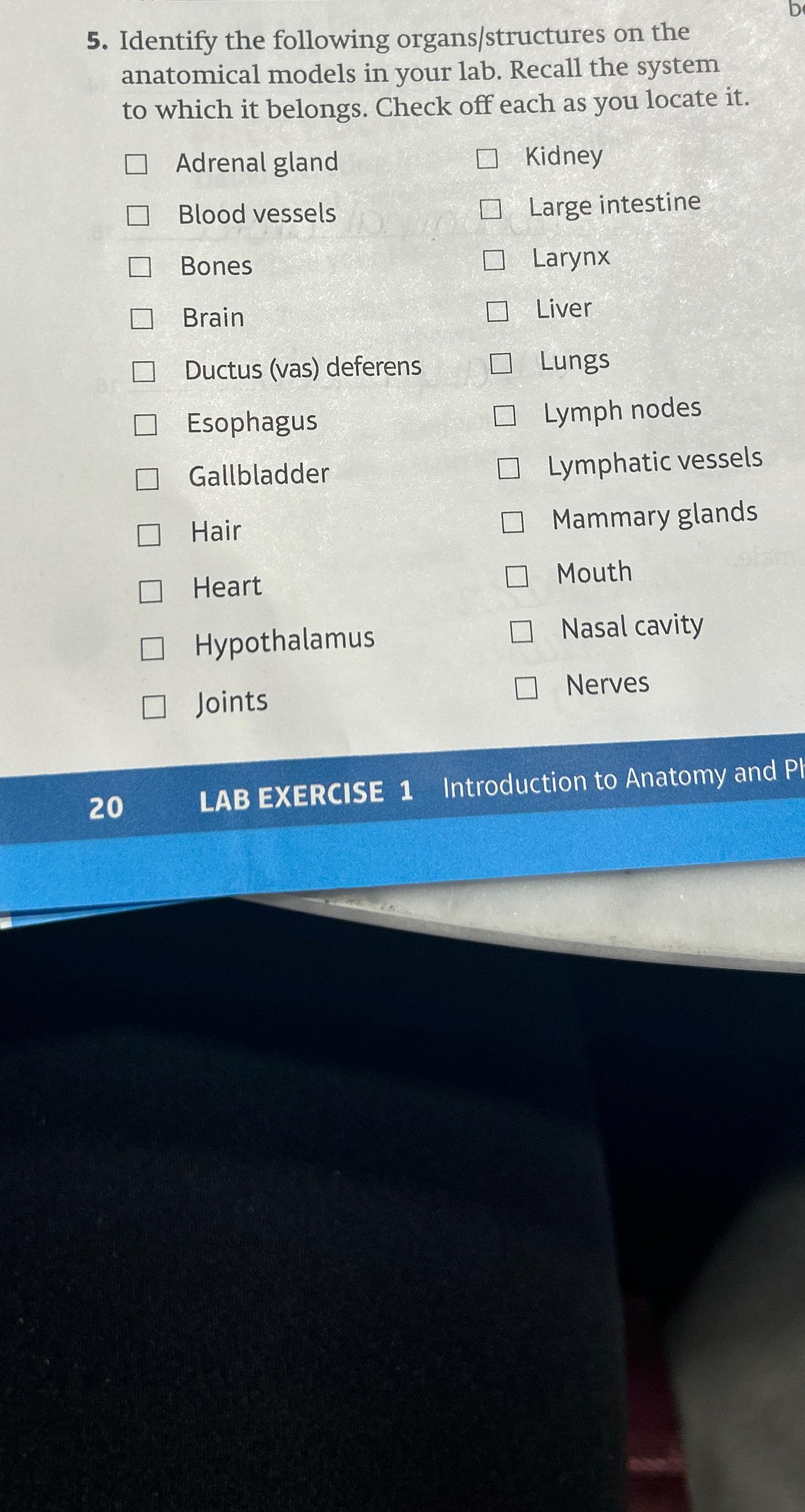 Solved Identify the following organs/structures on the | Chegg.com