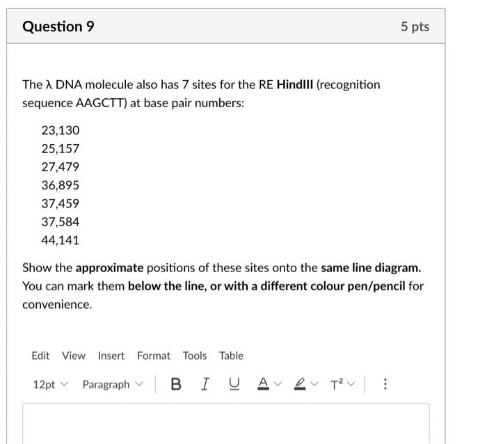 The λ DNA molecule also has 7 sites for the RE | Chegg.com