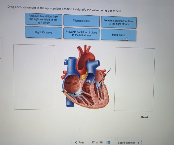 Solved Drag each statement to the appropriate position to | Chegg.com