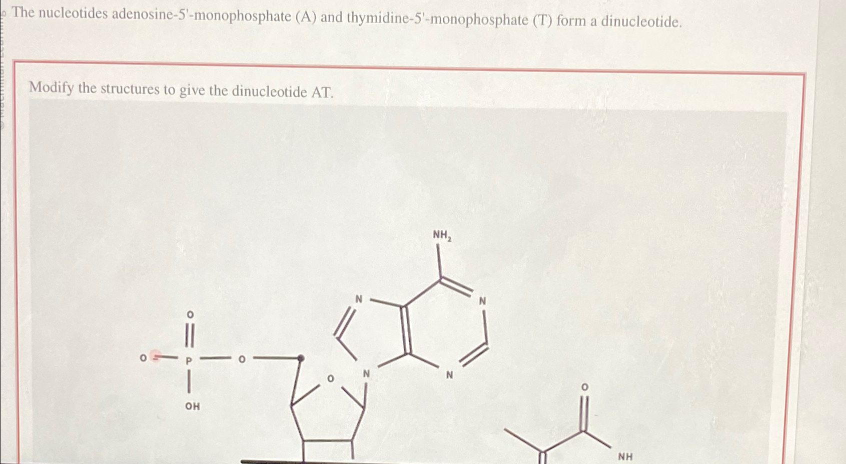 Solved The nucleotides adenosine-5'-monophosphate (A) ﻿and | Chegg.com