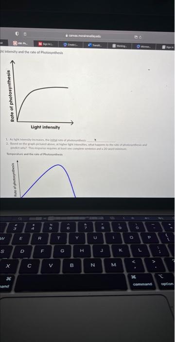Solved I dont know how to put these words into the right | Chegg.com