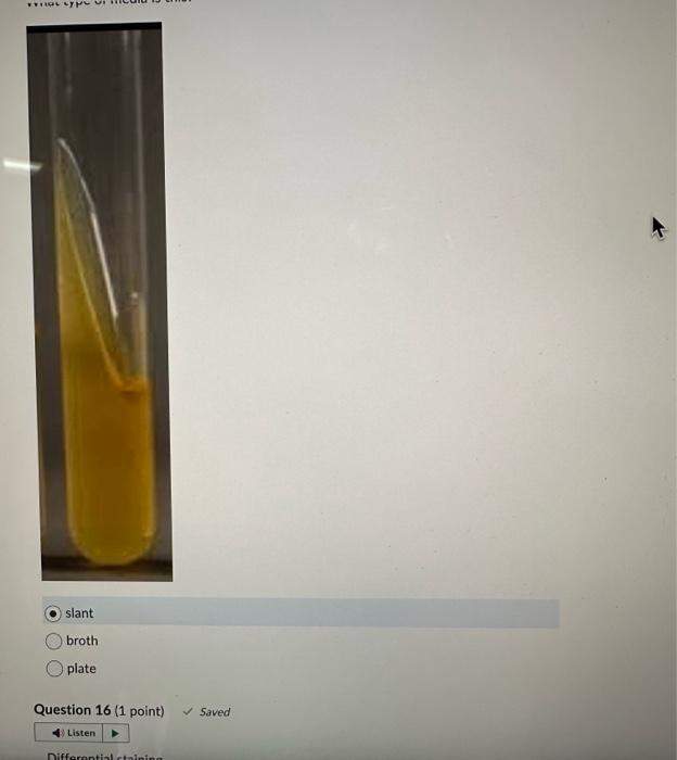Solved slant broth plateDifferential staining.... is not | Chegg.com