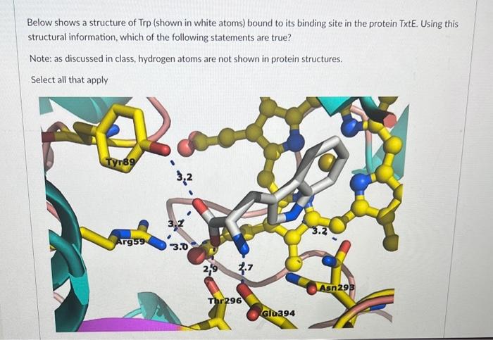 Solved Below shows a structure of Trp (shown in white atoms) | Chegg.com