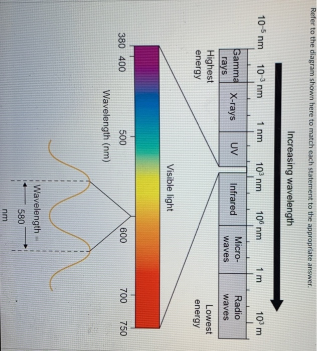 Solved Refer to the diagram shown here to match each | Chegg.com