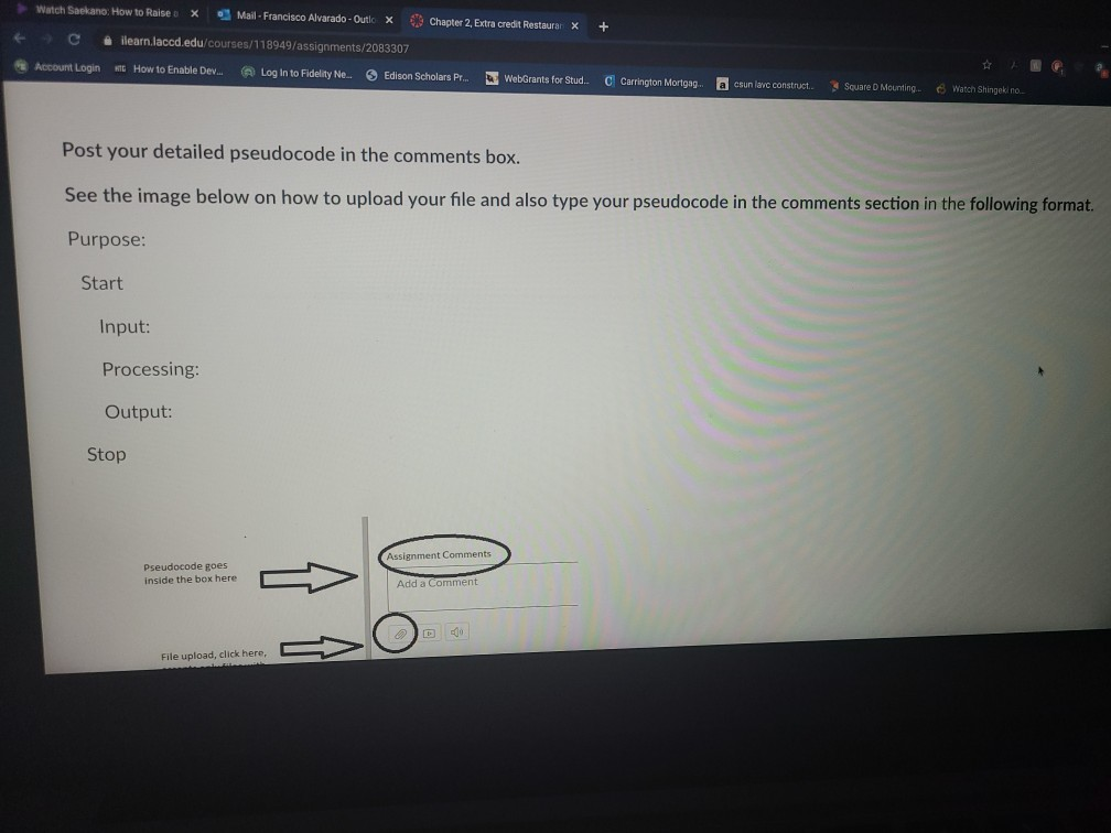 Solved The easy part: Write a program that computes the tax | Chegg.com