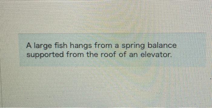 Solved A large fish hangs from a spring balance supported | Chegg.com