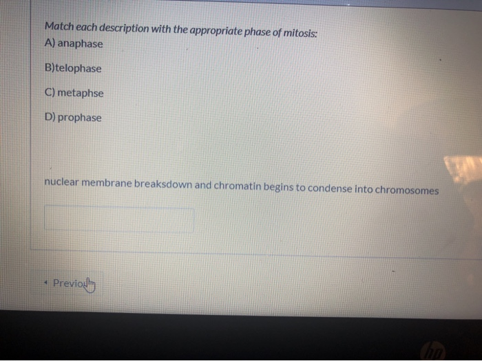 Solved Match each description with the appropriate phase of | Chegg.com