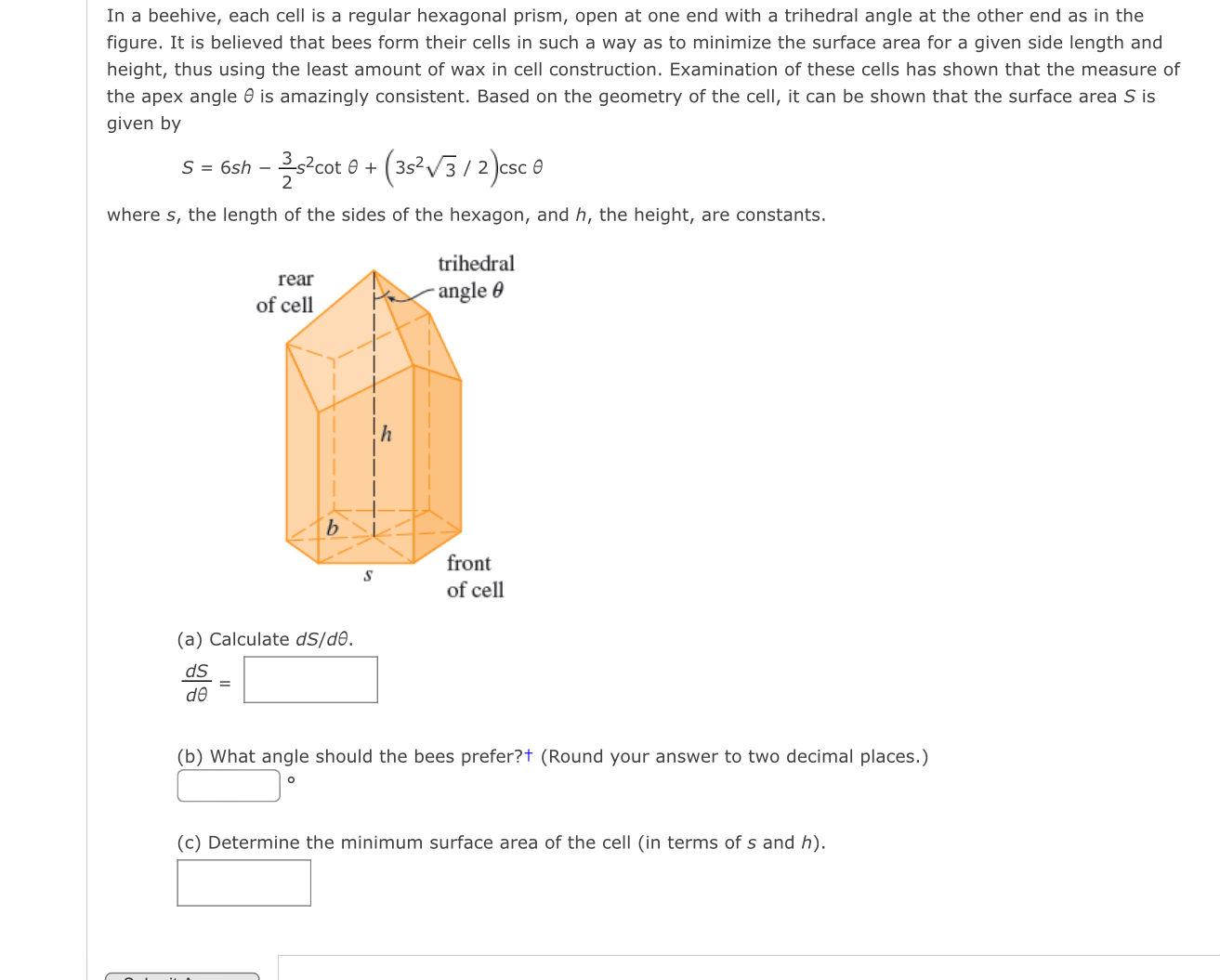 Solved (c) ﻿Determine the minimum surface area of the cell | Chegg.com
