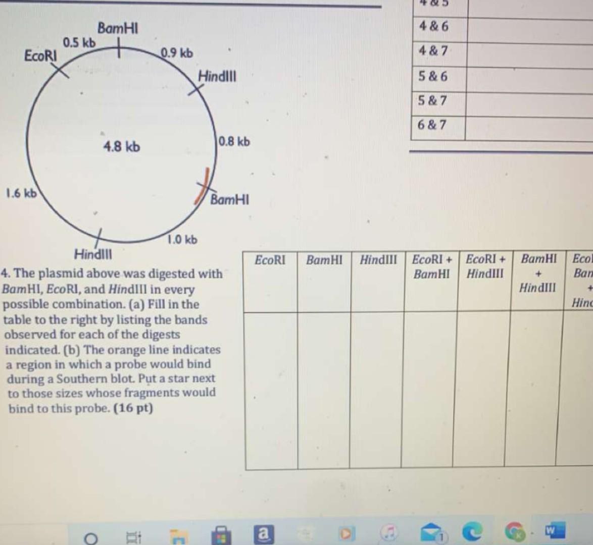 Solved 4&6 BamHI 0.5 kb EcoRI 4&7 0.9 kb Hindili 5&6 5&7 6&7 | Chegg.com