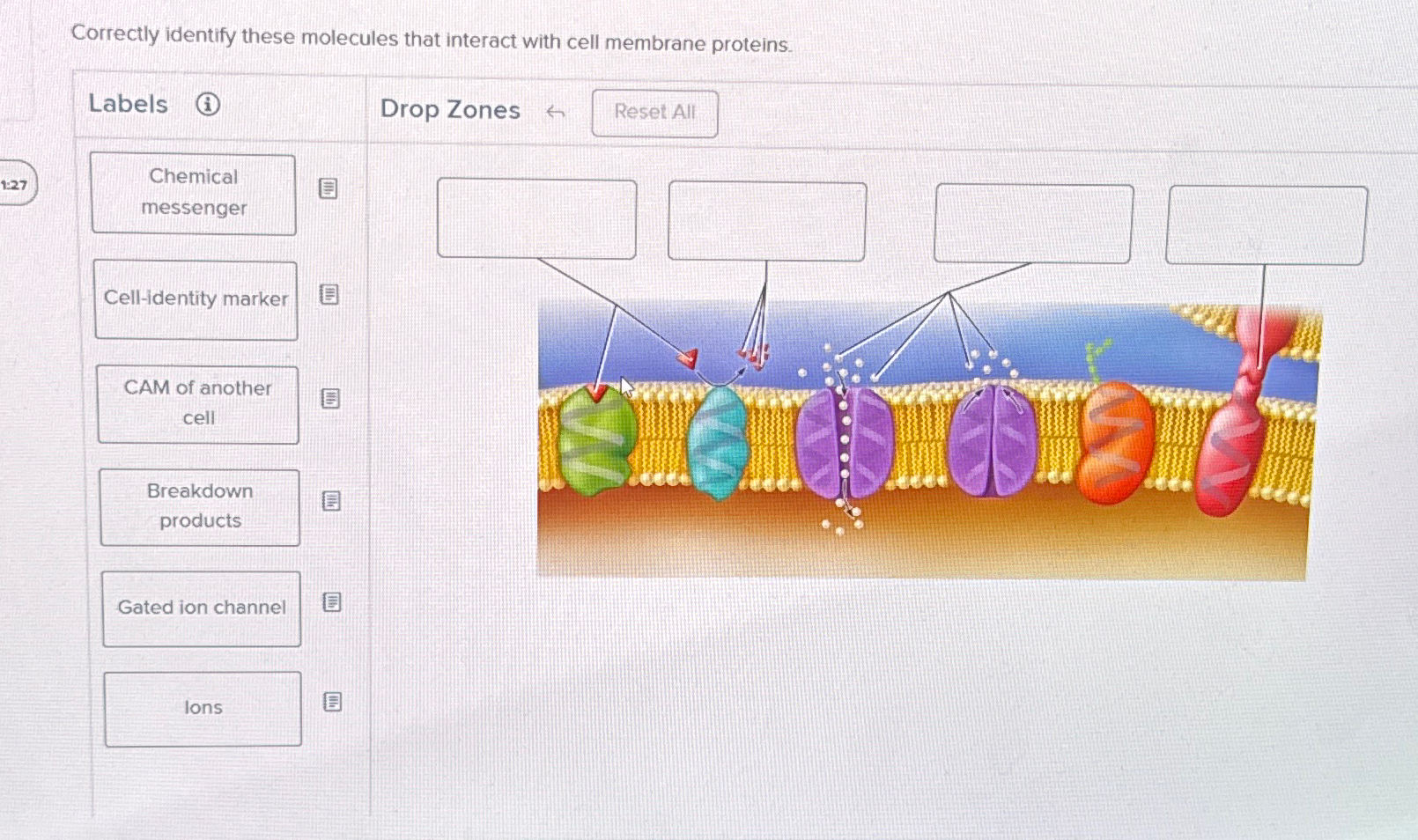 Solved Correctly identify these molecules that interact with | Chegg.com