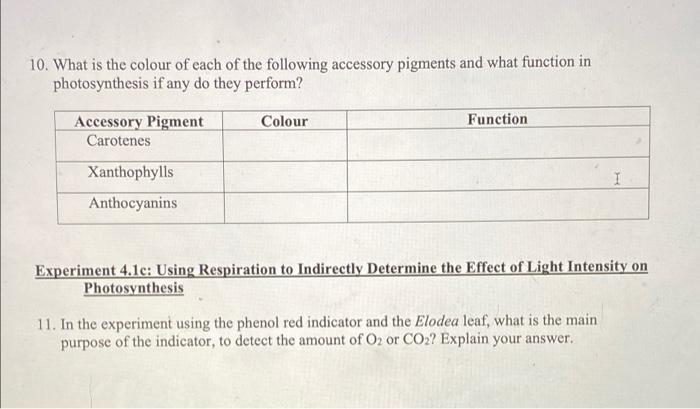 Solved Experiment 4.1a: Effect of Coloured Light on the | Chegg.com