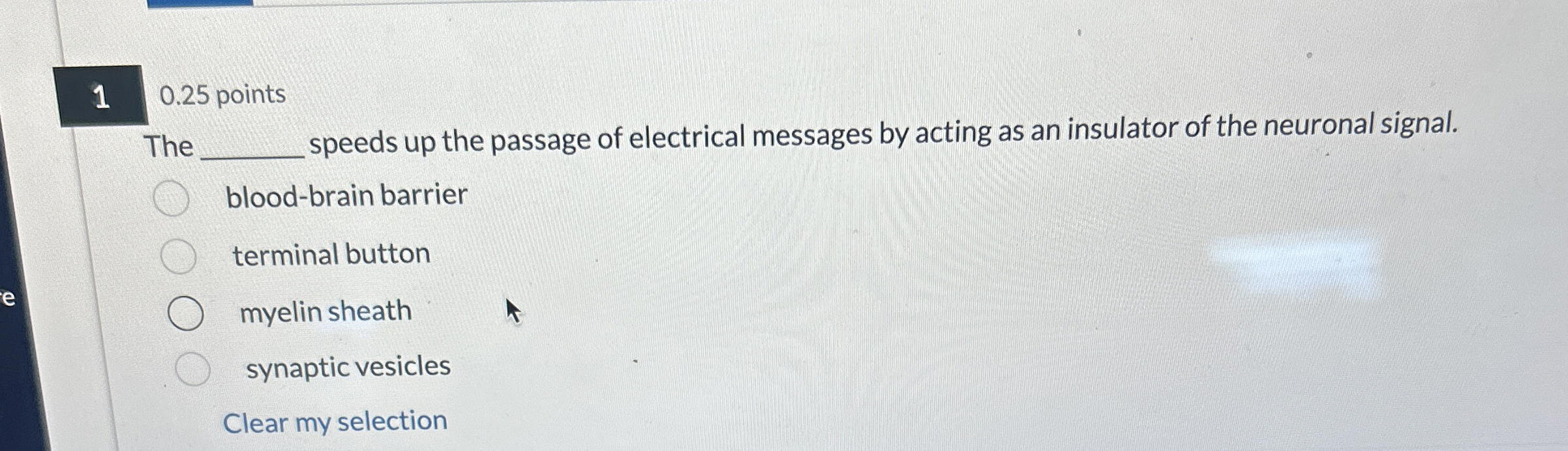 Solved 10.25 ﻿pointsThespeeds up the passage of electrical | Chegg.com
