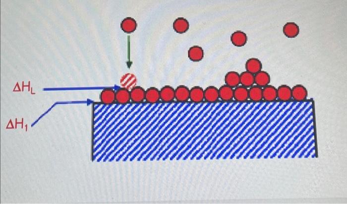 Solved This figure shows the BET adsorption model. What does | Chegg.com