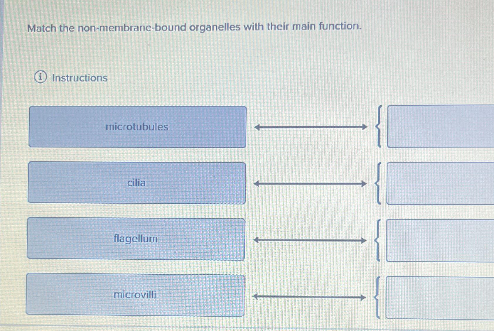 Solved Match the non-membrane-bound organelles with their | Chegg.com