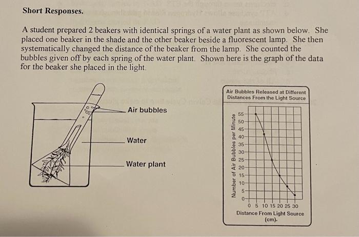 Solved A student prepared 2 beakers with identical springs | Chegg.com