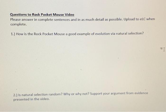Solved Questions to Rock Pocket Mouse Video Please answer in | Chegg.com